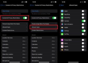 How To Turn On Privacy Screen on iPhone and iPad